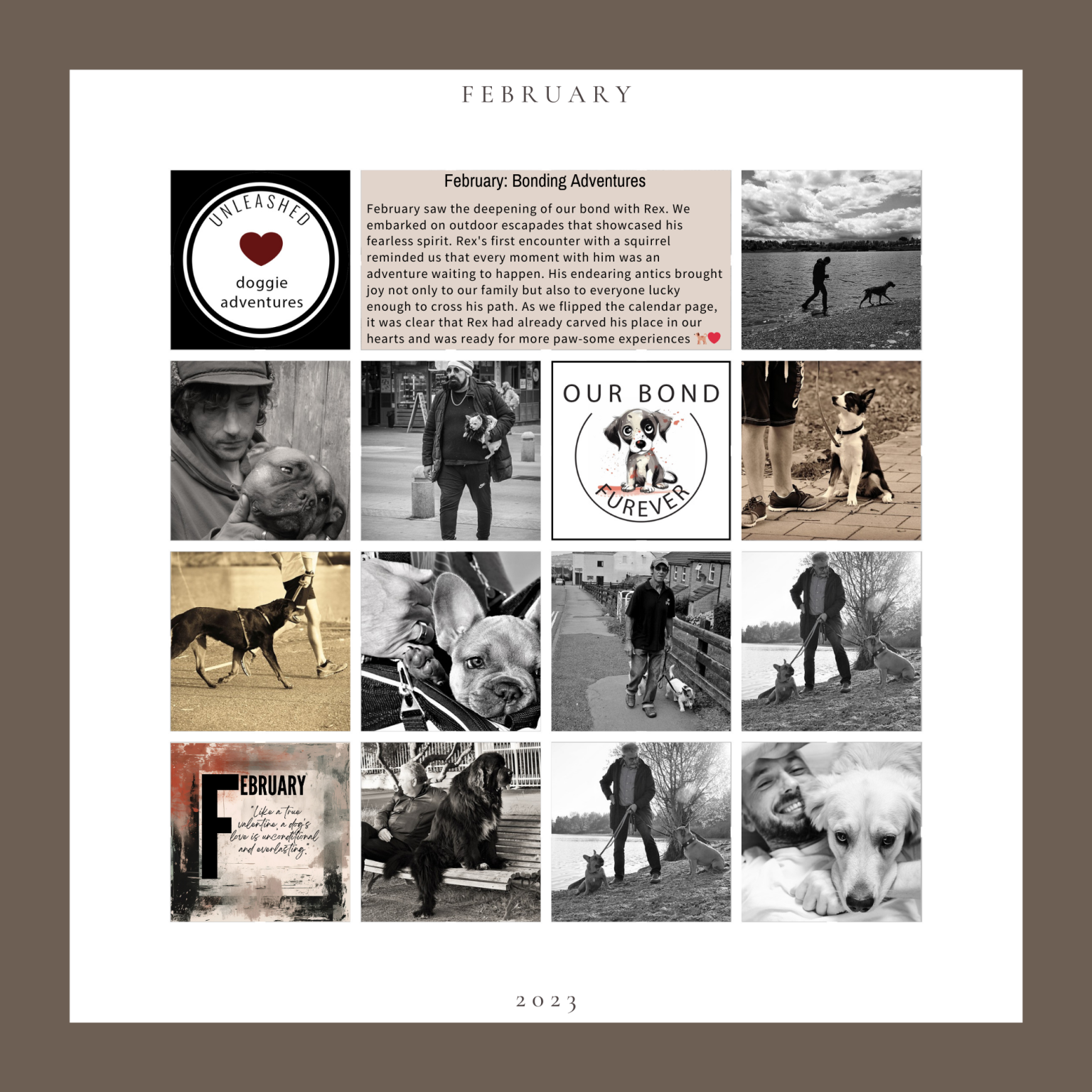 Introducing the Canine Chronicles Collection: Crafting Timeless Dog ...