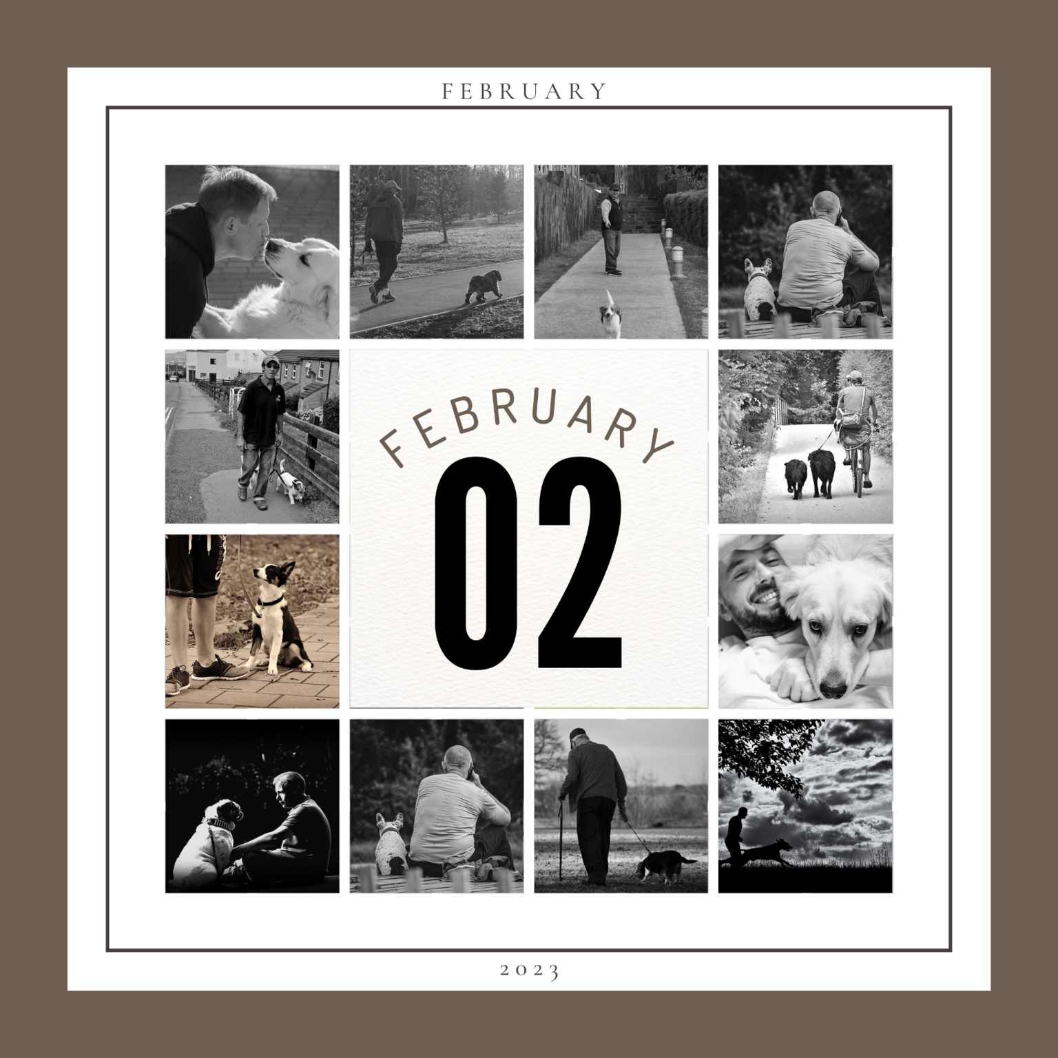 Introducing the Canine Chronicles Collection: Crafting Timeless Dog ...