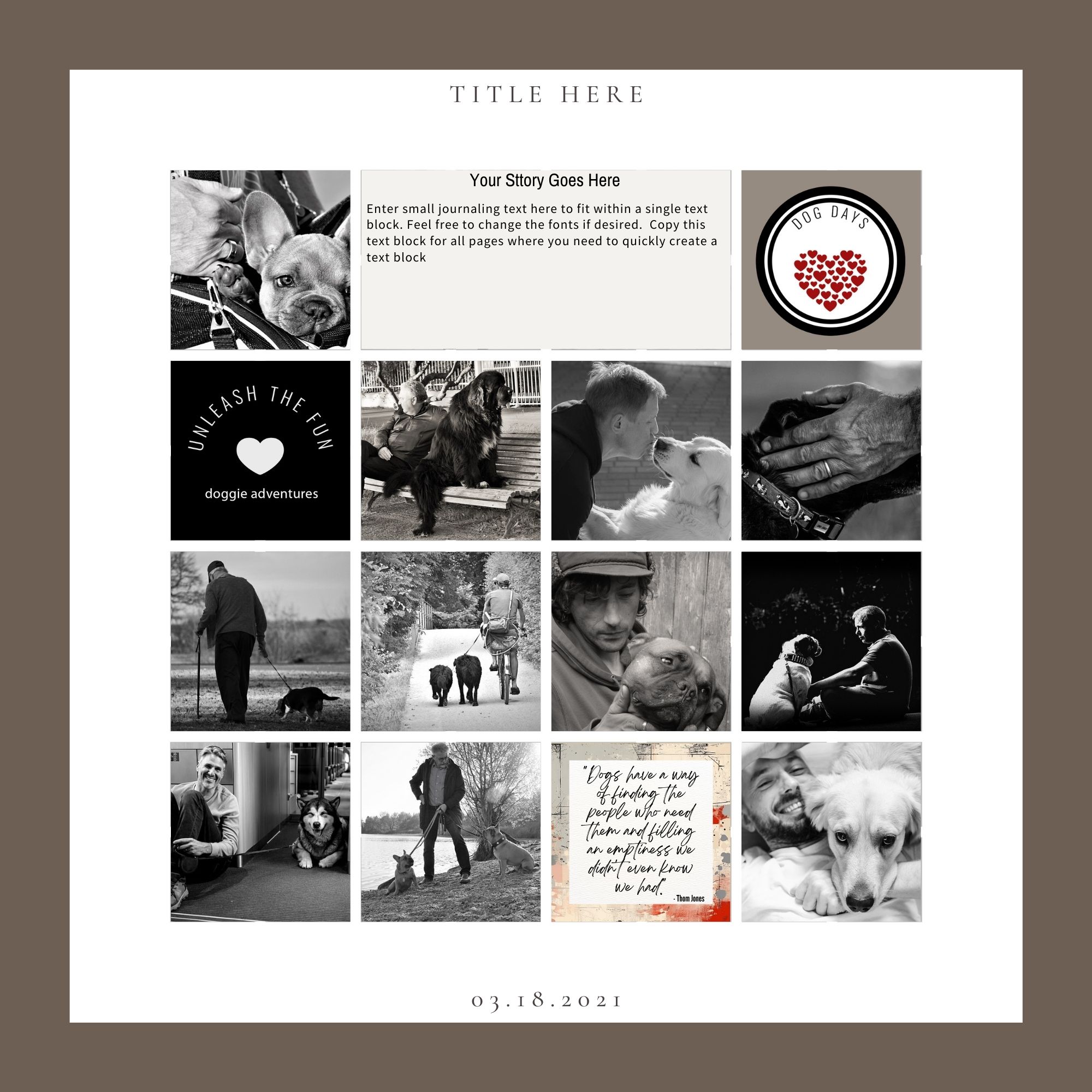 Introducing the Canine Chronicles Collection: Crafting Timeless Dog ...