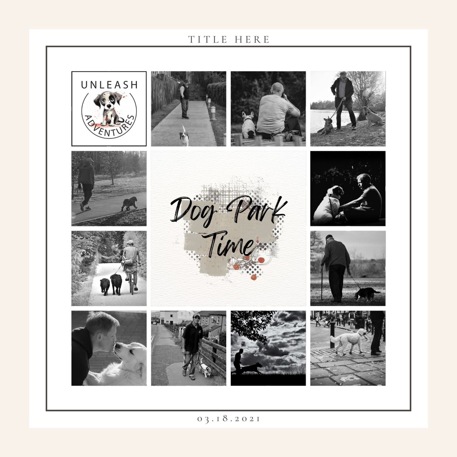 Introducing the Canine Chronicles Collection: Crafting Timeless Dog ...